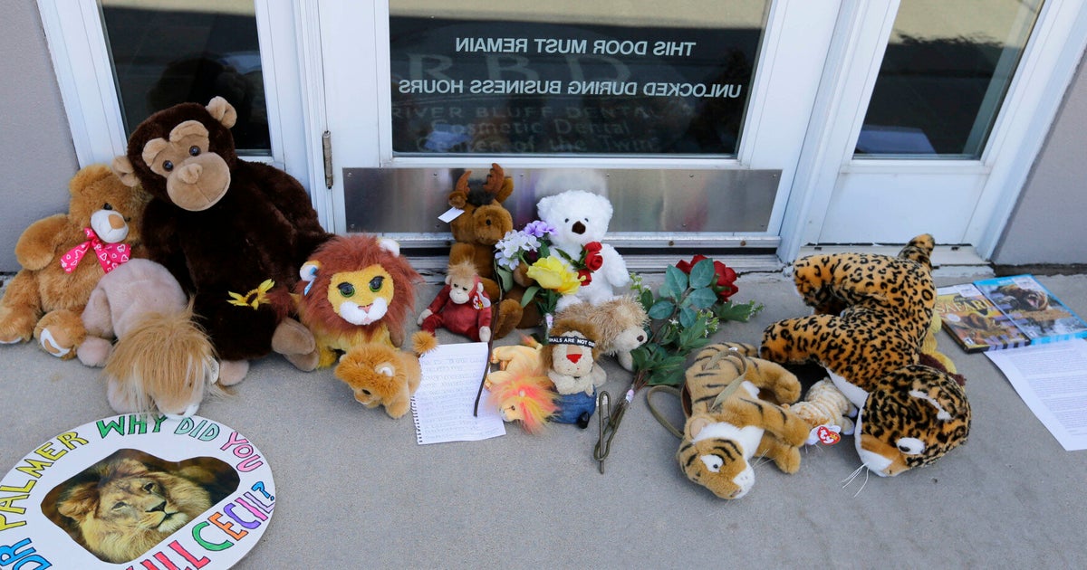 Cecil The Lion's Killer Walter Palmer Apologises To His Dental Patients ...