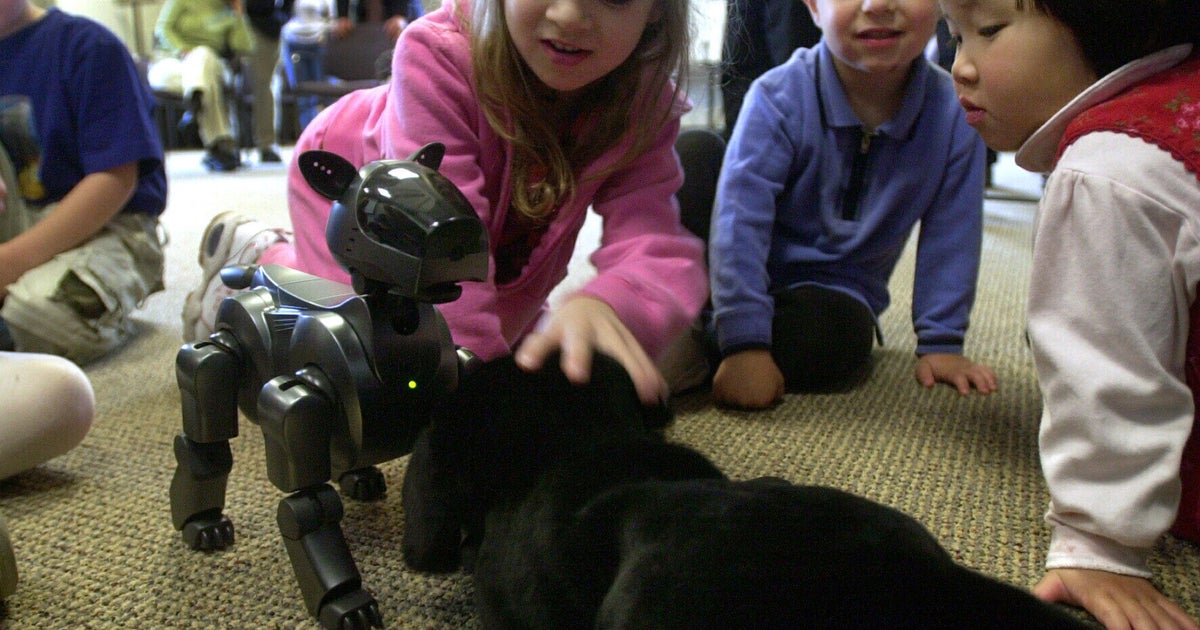 Robo Pets Can Never Replace Real Pets | HuffPost UK Tech