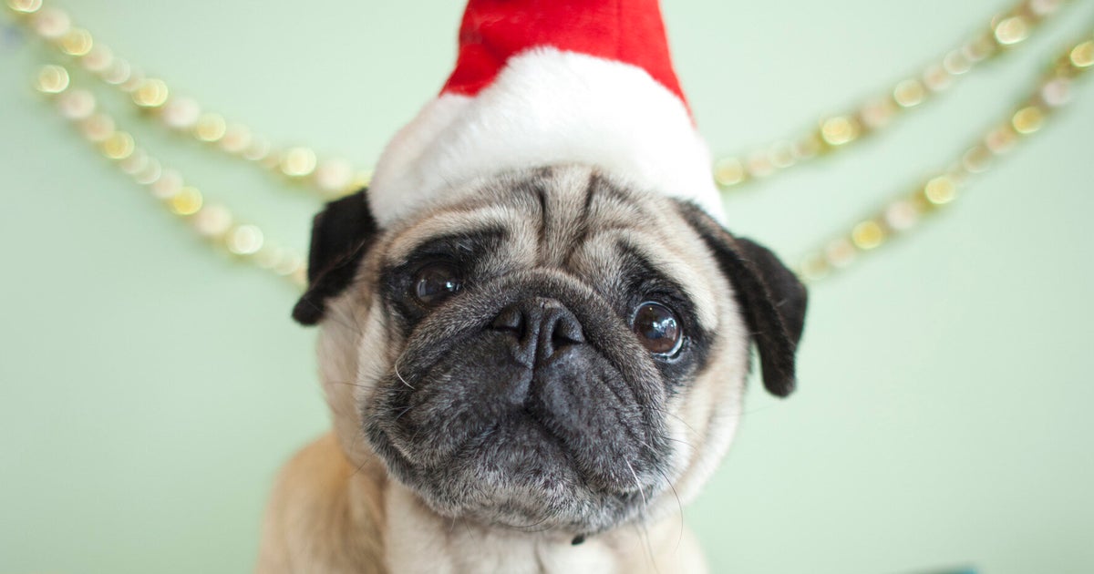 Secret Santa Gift Ideas: Christmas Presents For Your Colleagues And ...