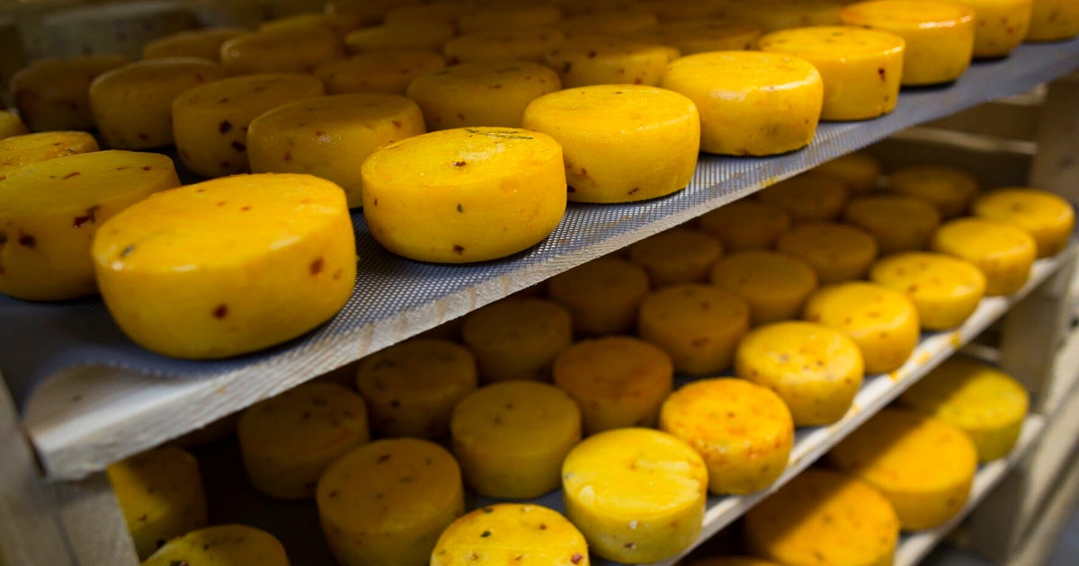 Putin Government Steamrollers Cheese To Mark One-Year Anniversary Of ...