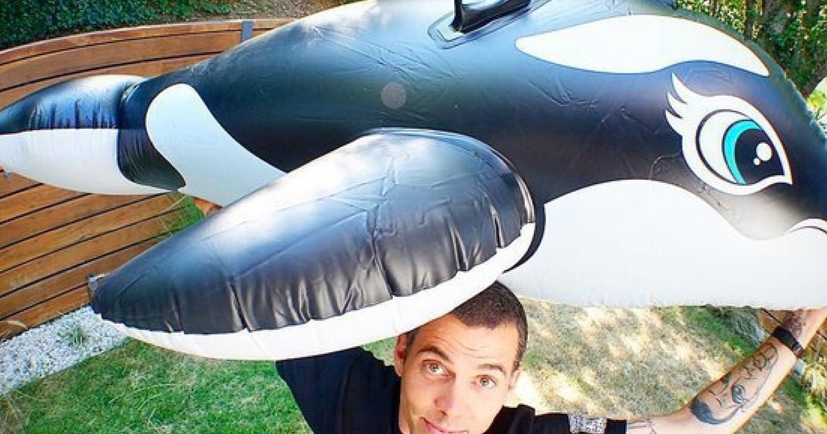 Steve-O Sea World Protest Live Streamed On Facebook To 10 Million ...