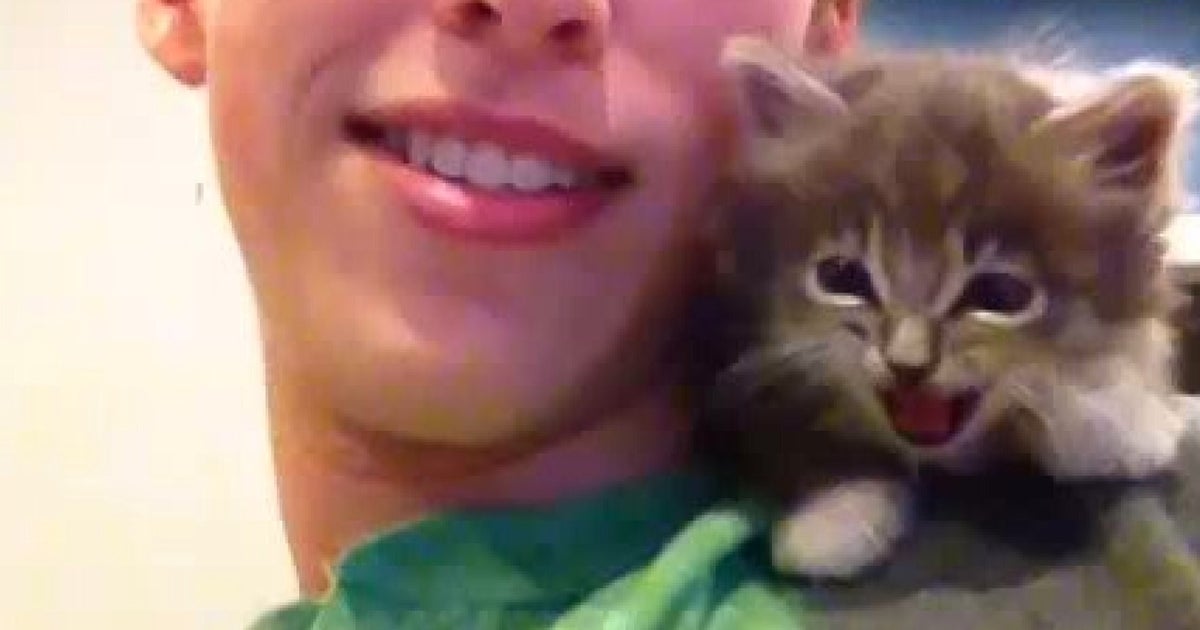 Tiny Kitten Attempts To Meow, World Melts | HuffPost UK Comedy