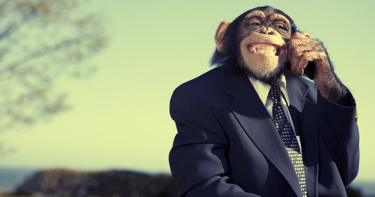 Are You the Christmas Party Performing Chimp? | HuffPost UK Life