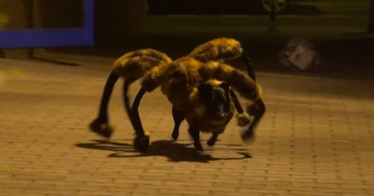 Mutant Giant Spider Dog Tops YouTube's Most Popular List | HuffPost UK Tech