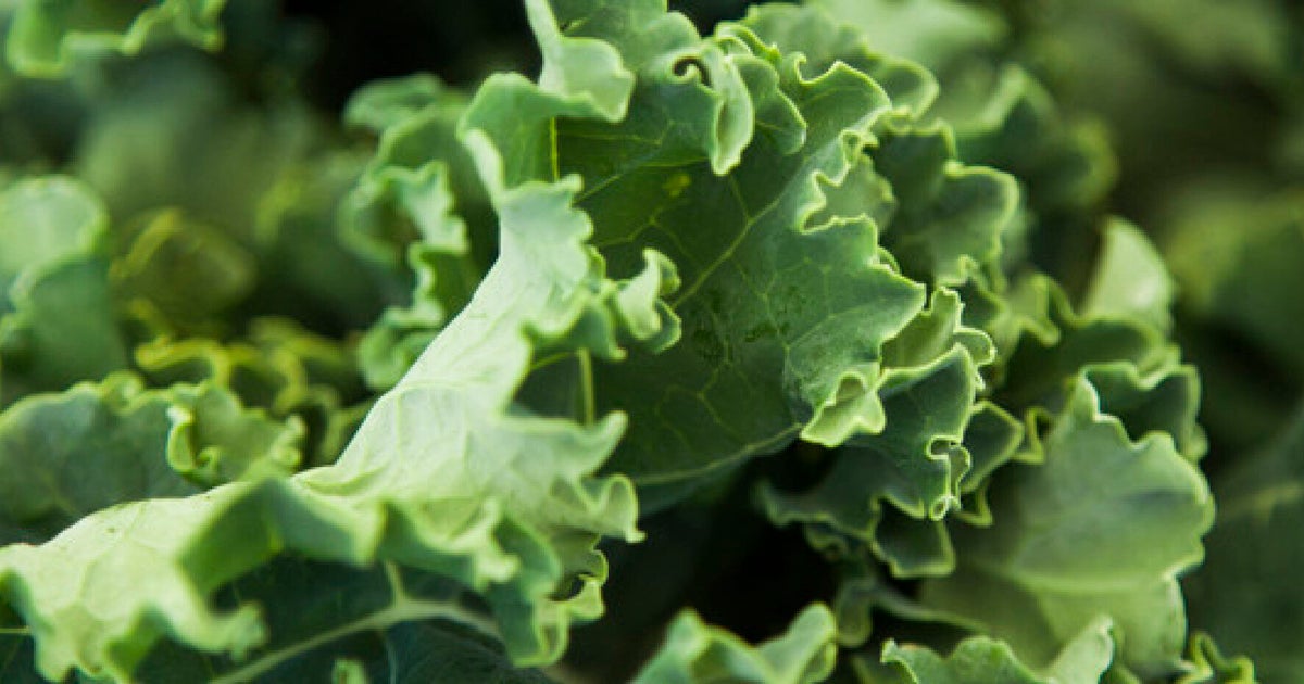 Kalettes-New Veggie on the Scene | HuffPost UK Life