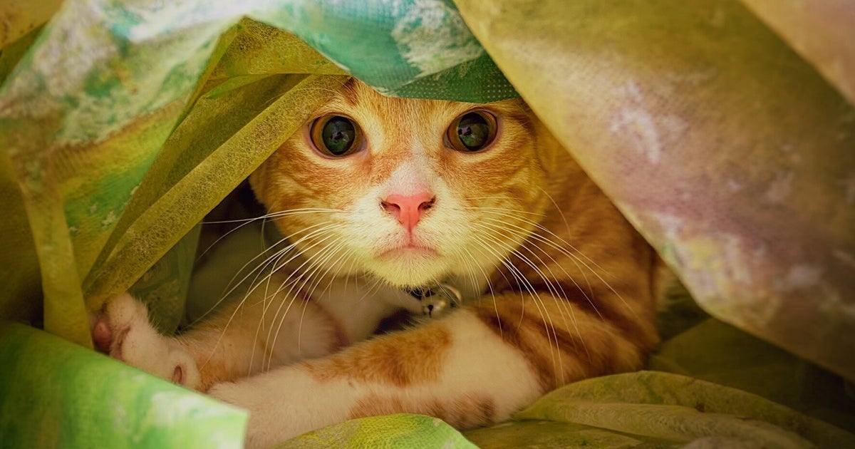 11 Signs January Has Arrived (And A Handful Of Ways To Beat The Back To ...