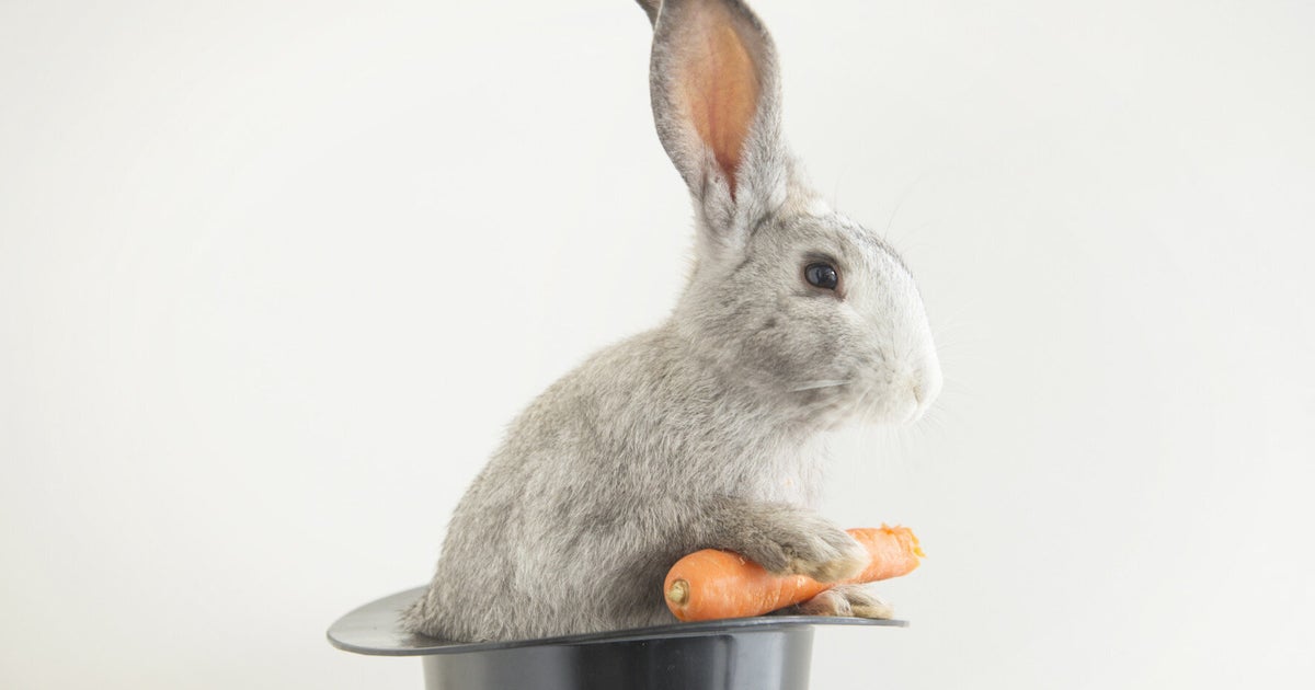 Five Food Magic Tricks You Need To Try (FYI The Egg Trick Blew Our ...