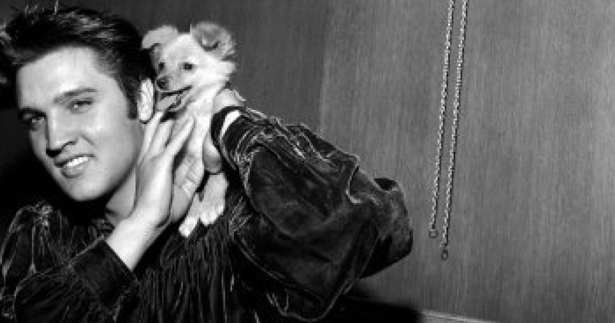 As Elvis Presley Fans Gather To Celebrate His 80th Birthday, We Look ...