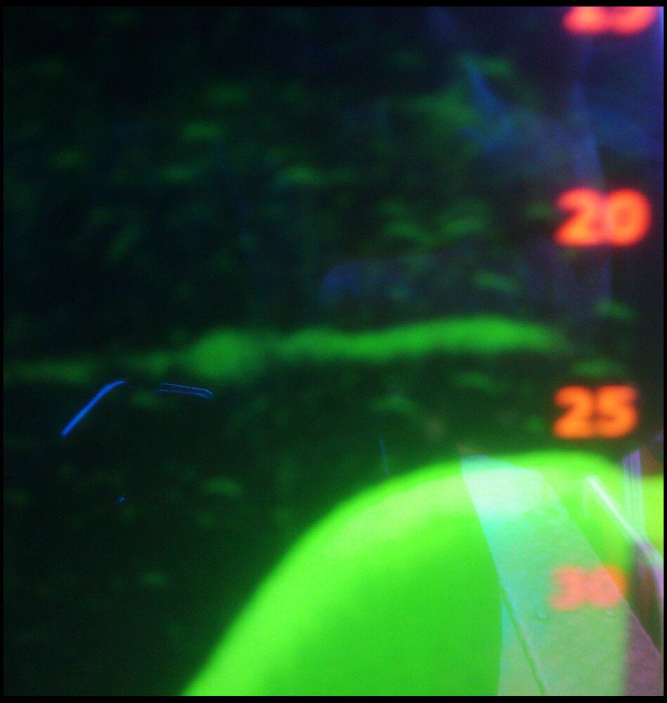 Loch Ness Monster Mysterious Sonar Image Released Amid Fears The