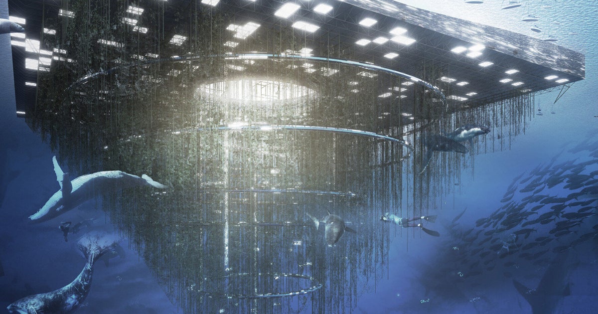These Architects Want To Build A Giant Floating Artificial Reef ...