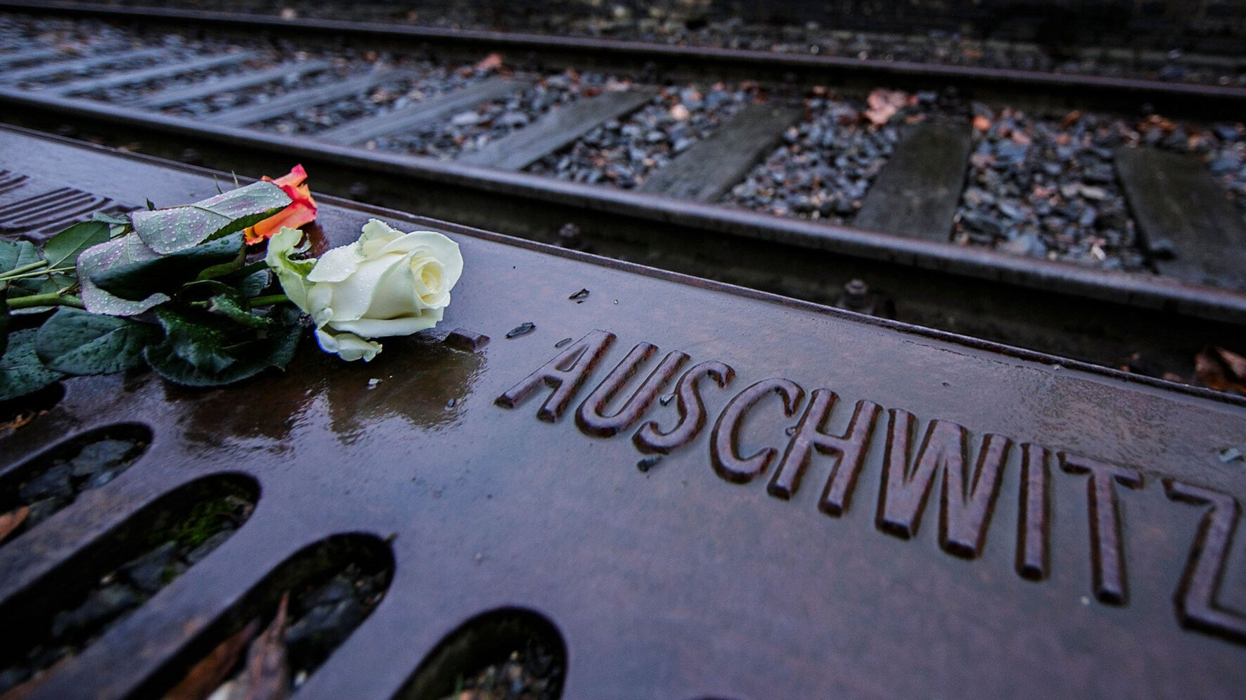 Contemplating Forgiveness of the Unforgivable | HuffPost UK News