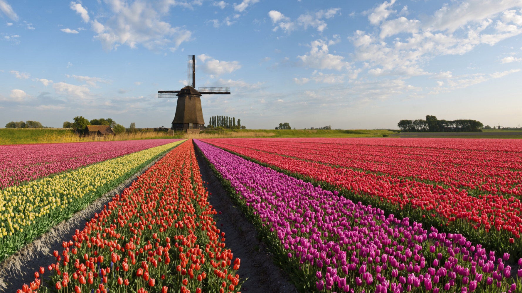 Why Dutch Children Are the Happiest in the World (And What We Can Learn ...