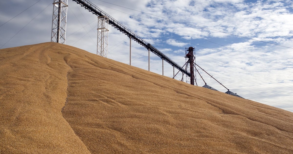 Biofuels - A Burning Issue | HuffPost UK Politics