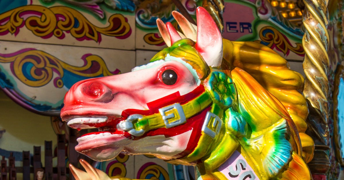 Circus Animals - 10 Reasons the Show Must Go On | HuffPost UK News