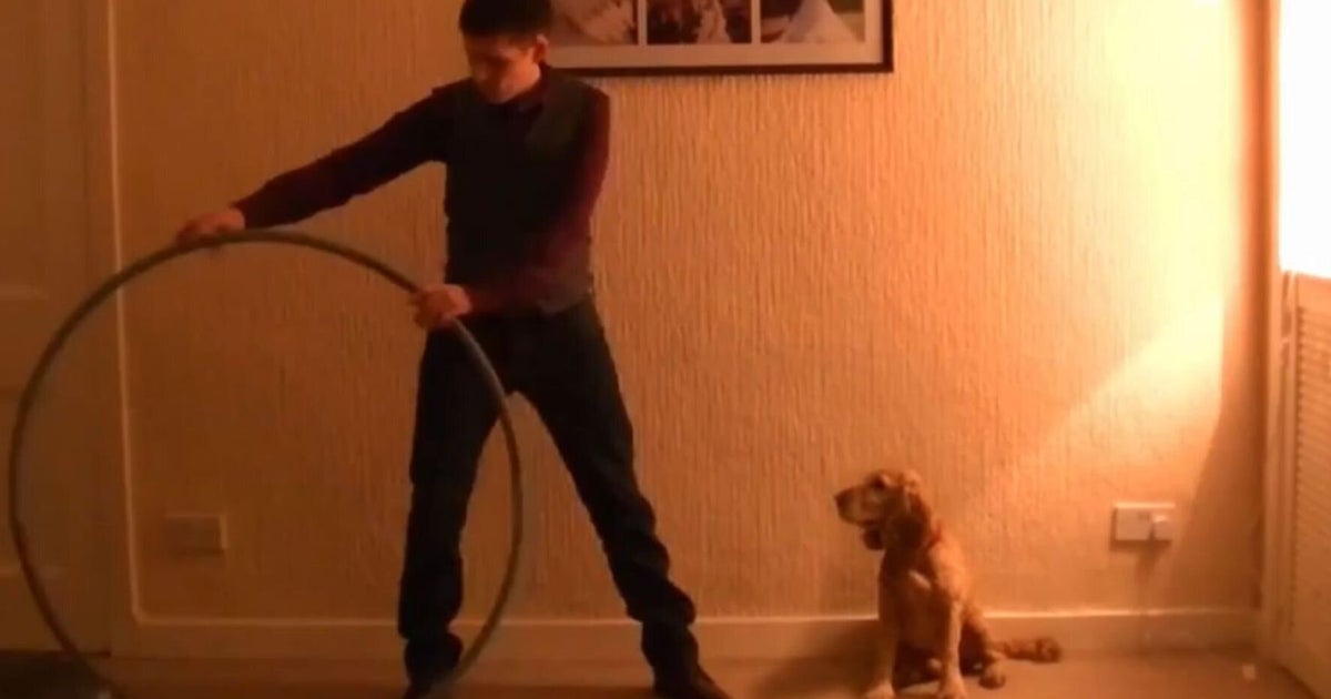 Fudge The Dog Vanishes In Mesmerising Hoop Trick | HuffPost UK Comedy