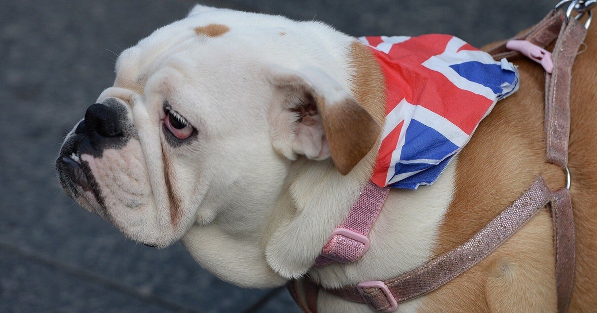 The English; Do We Have an Identity? | HuffPost UK Comedy