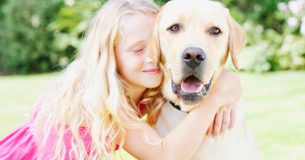Ten Reasons Why Pets Are Powerful | HuffPost UK News