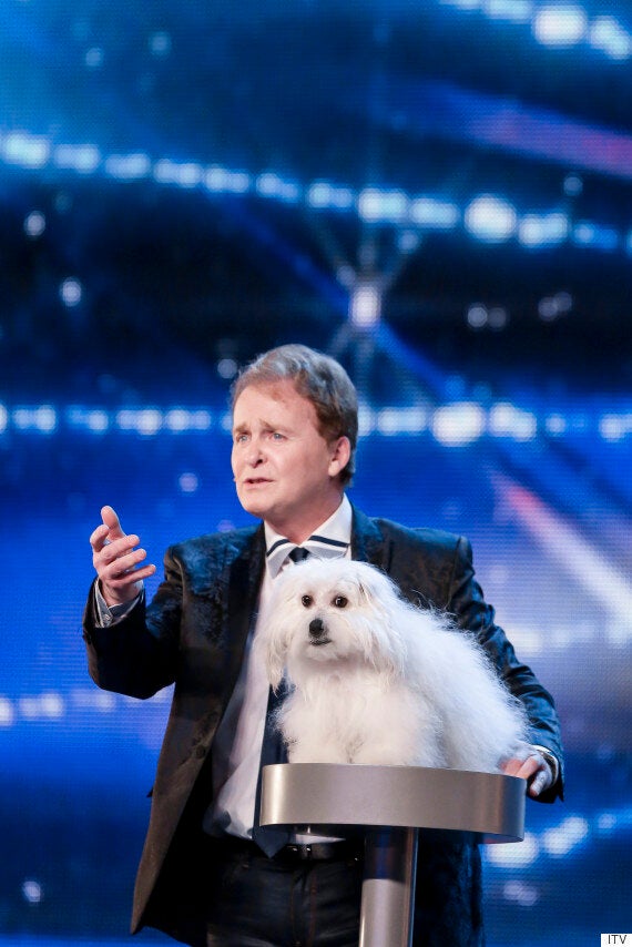 ‘Britain's Got Talent': Talking Dog Miss Wendy Was NOT Distressed ...