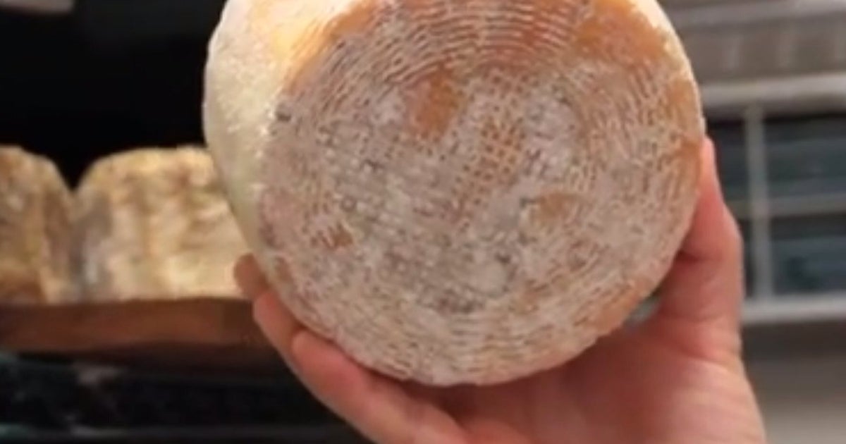 The Human Cheeses Made From Armpit, Feet And Bellybutton Bacteria ...