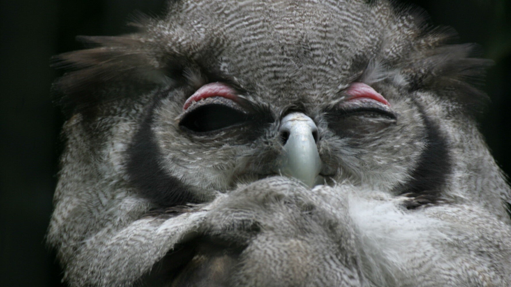 Night Owl V Morning Lark: Which One Of You Is More Likely To Have ...
