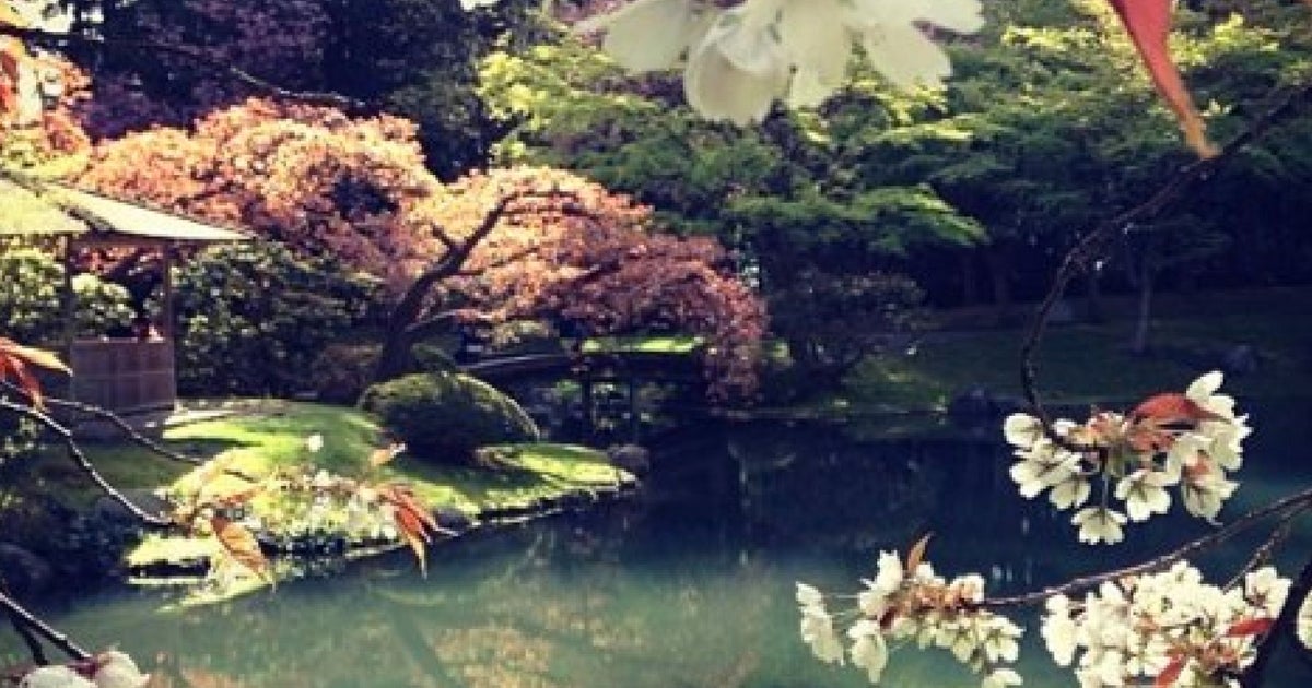 Garden Meditation Day: These Beautiful Pictures Of Green, Open Spaces ...