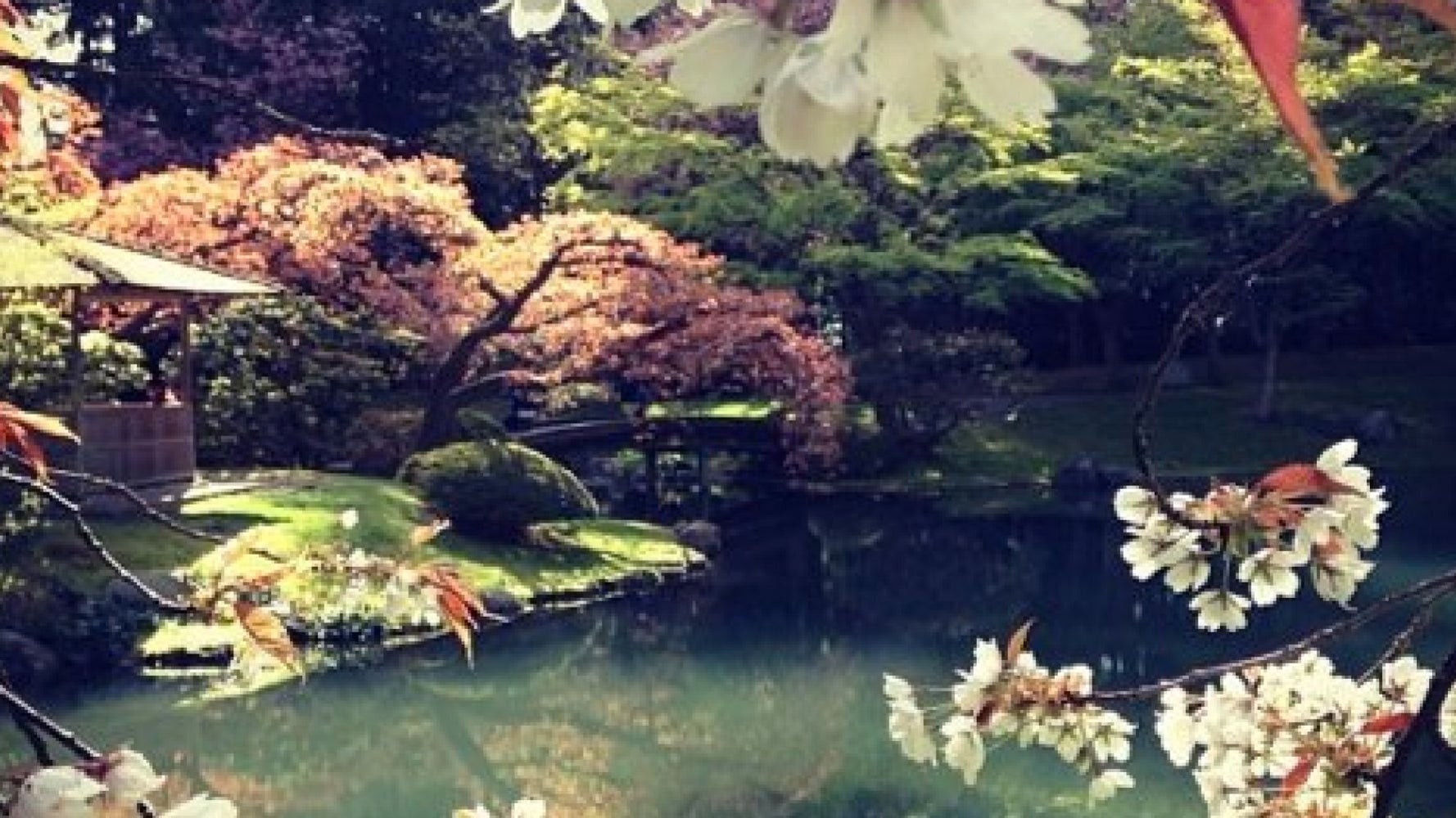 Garden Meditation Day: These Beautiful Pictures Of Green, Open Spaces ...