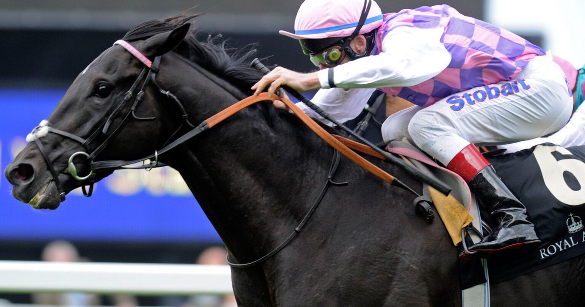 Thomas Chippendale Dead: Royal Ascot Winning Horse Dies After Race ...