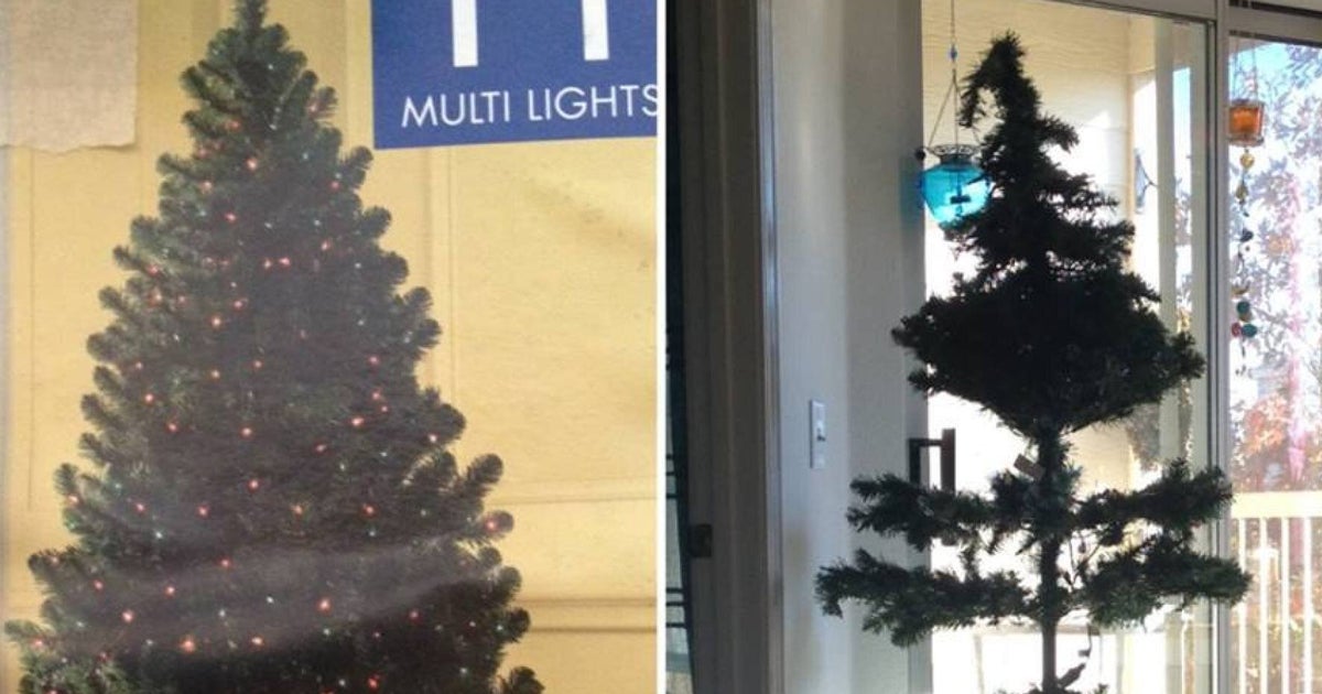 The World's Most Disappointing Christmas Tree (PICTURE) | HuffPost UK ...