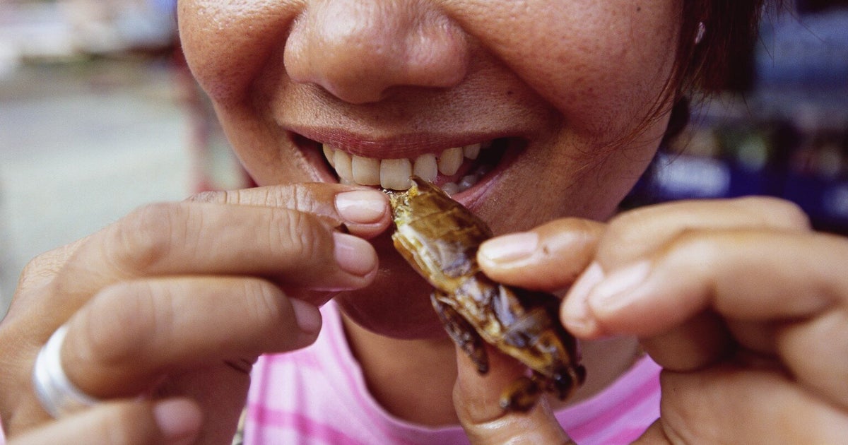 Future Gazing- Food Trends to Look Out For.... | HuffPost UK Life