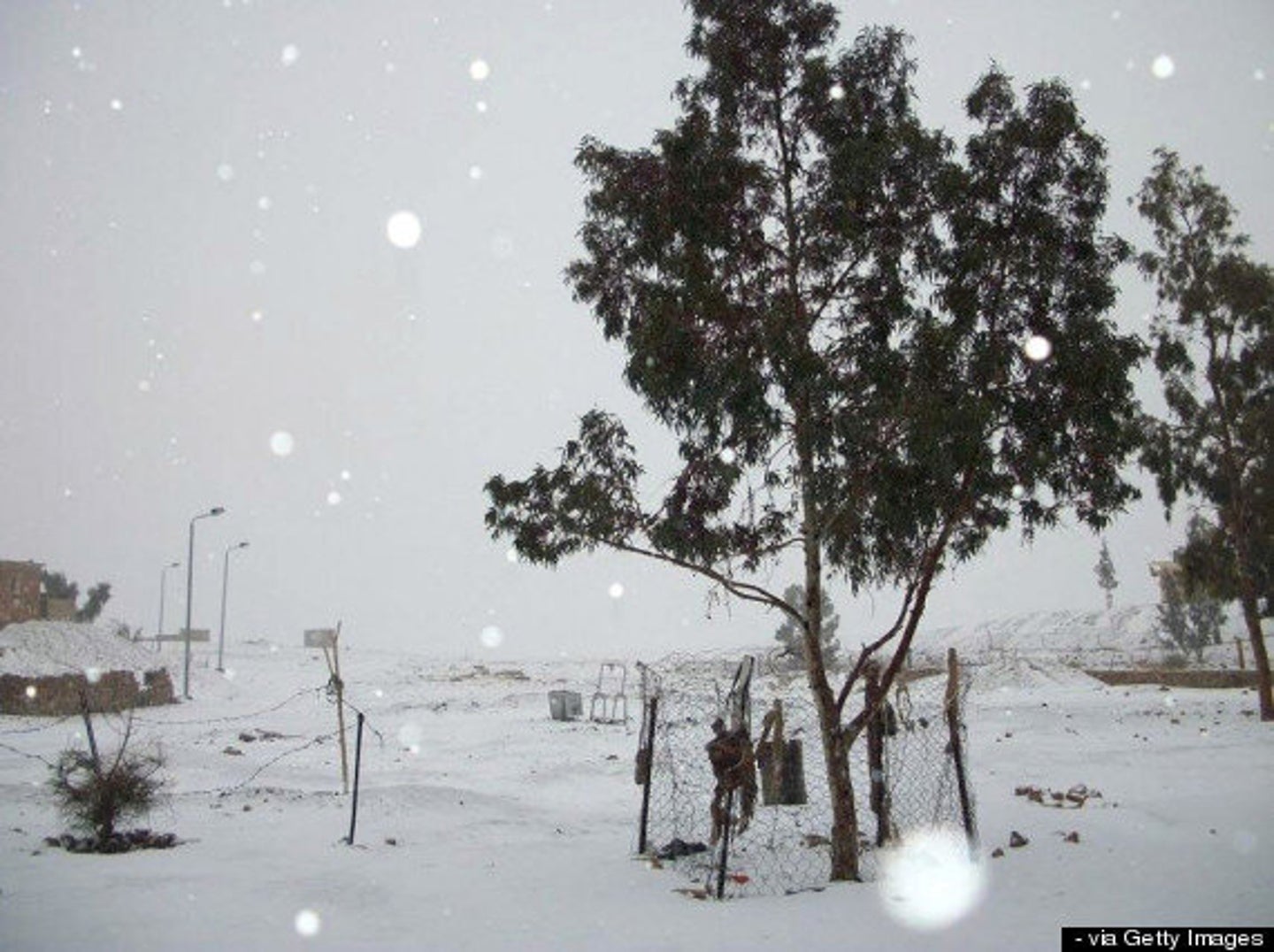 Snow In Egypt For The First Time In 100 Years, Reports Say (PICTURES ...