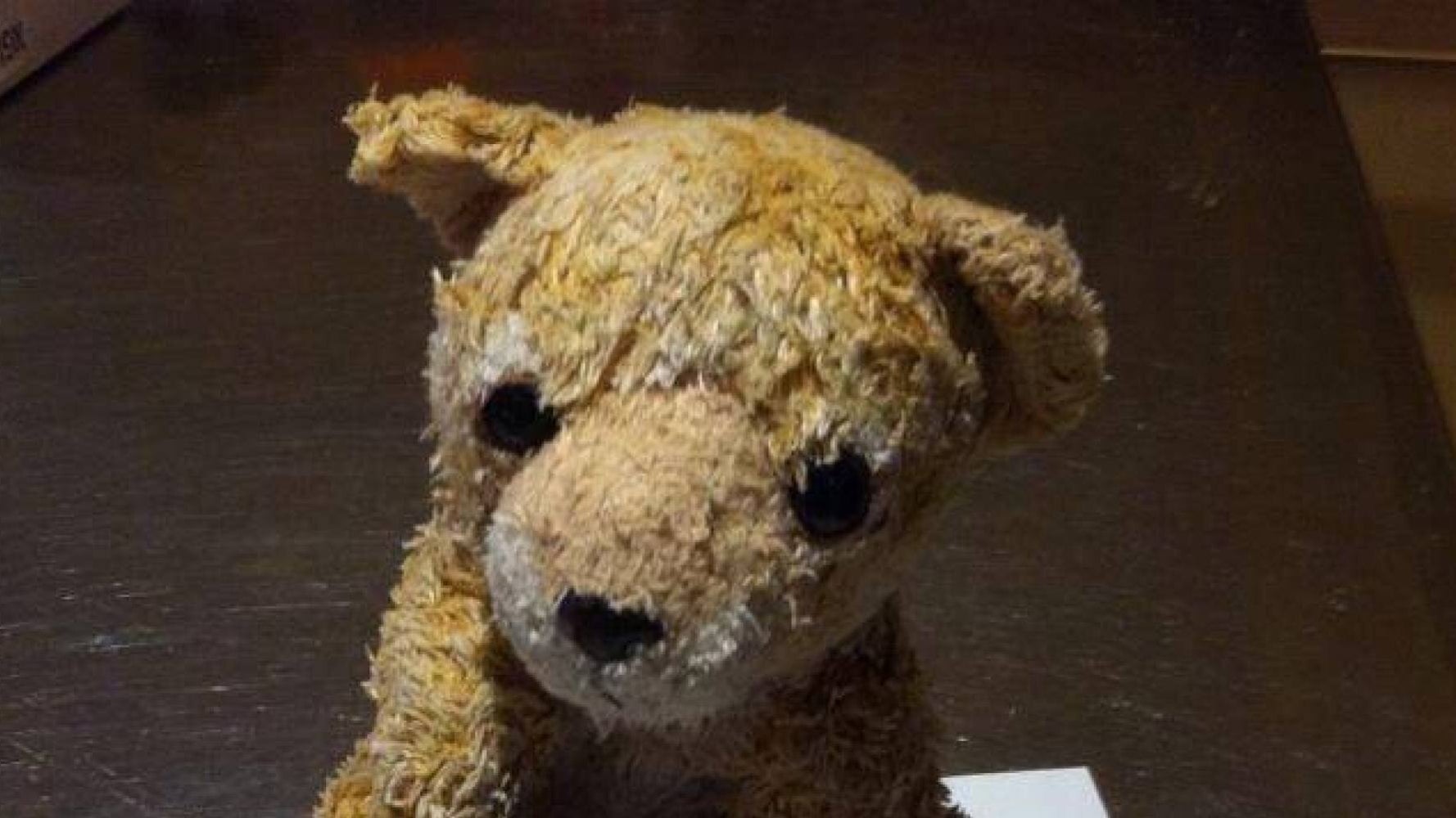 Lost Teddy Bear Reunited With Little Girl After Fantastic Twitter ...