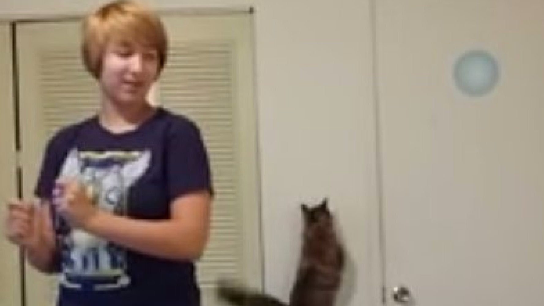 Cat Tries To Sabotage Owner's Performance Of 'Let It Go' (VIDEO ...