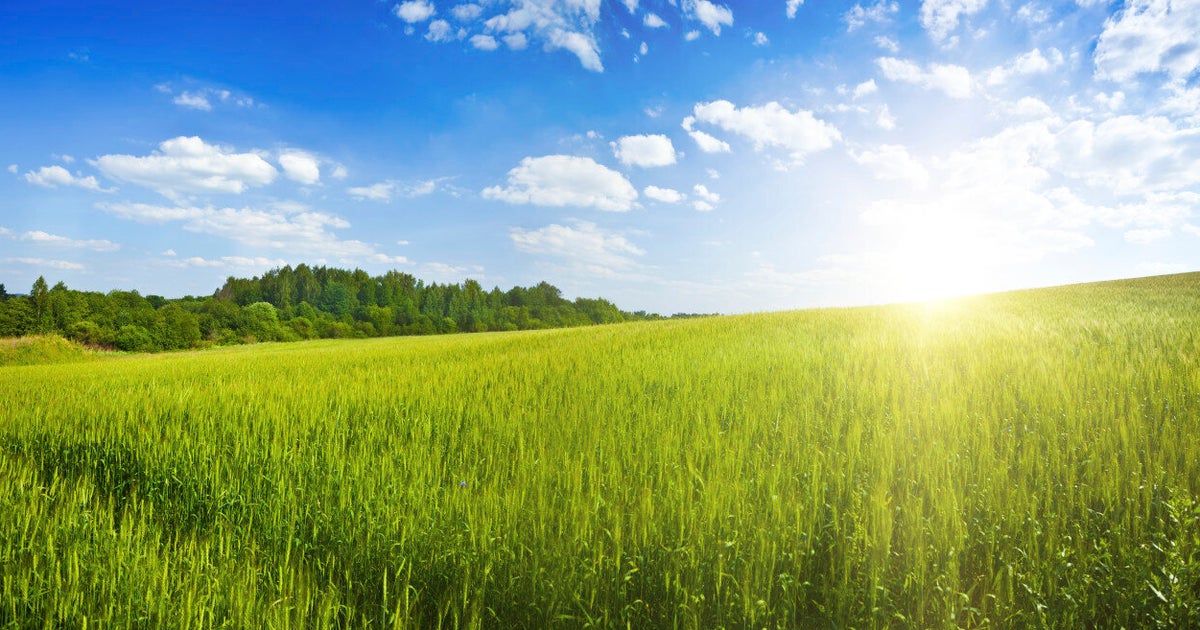 Great Ways To Enjoy The Hot Weather And Sunshine On A Budget | HuffPost ...