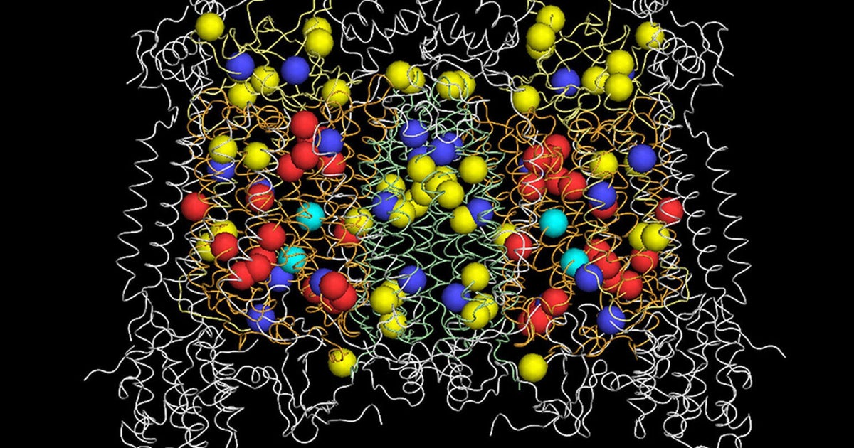 Human Body Contains Tiny Batteries 3D Map Reveals - And They Could Lead ...