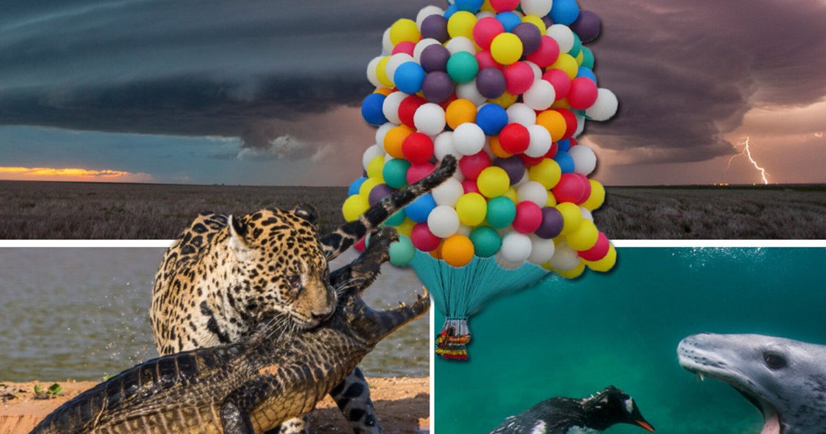 22 Remarkable Images Showing The 'Amazing Side Of Life' From Barcroft ...