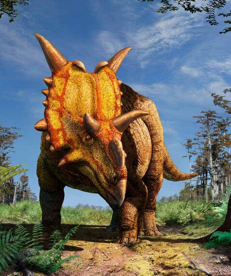 The Paleoart of Julius Csotonyi (Review) | HuffPost UK
