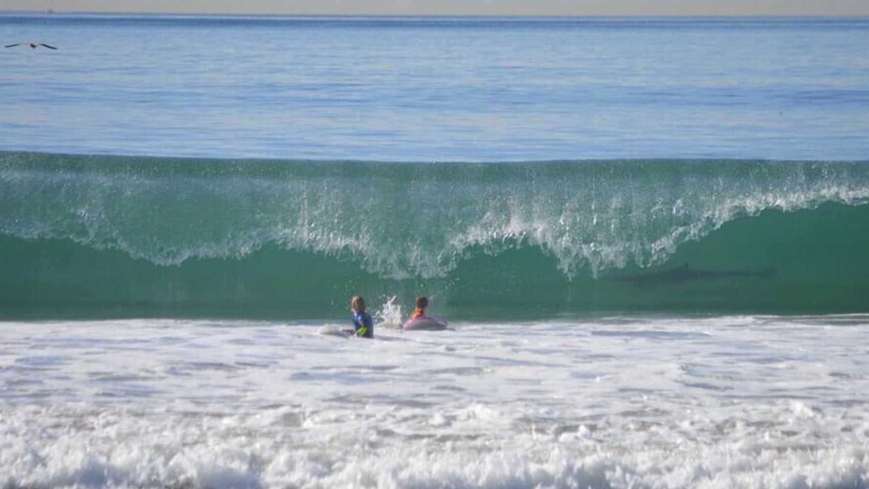 The Most Terrifying Photobomb Of All Time? Picture Appears To Show ...