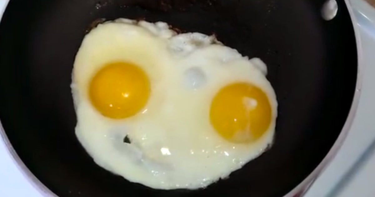 WATCH: Talking Eggs - The Silliest Eight-Second Video You'll See Today ...