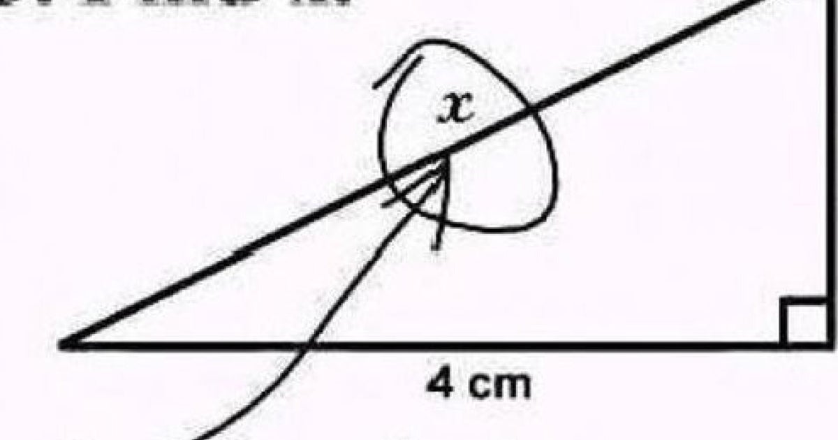 39 Ultimate Funny Exam Answer Fails HuffPost UK Students 39-ultimate-funny-exam-answer-fails-huffpost-uk-students
