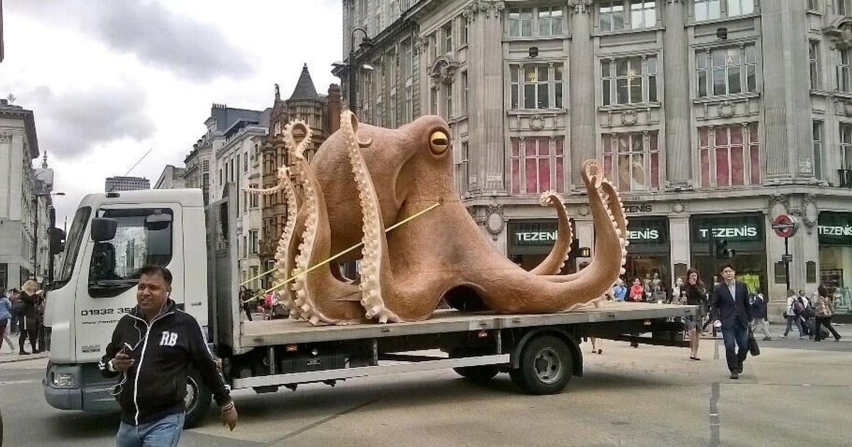 Oxford Circus Octopus: Giant Cephalopod Mollusc Beaches In Central ...