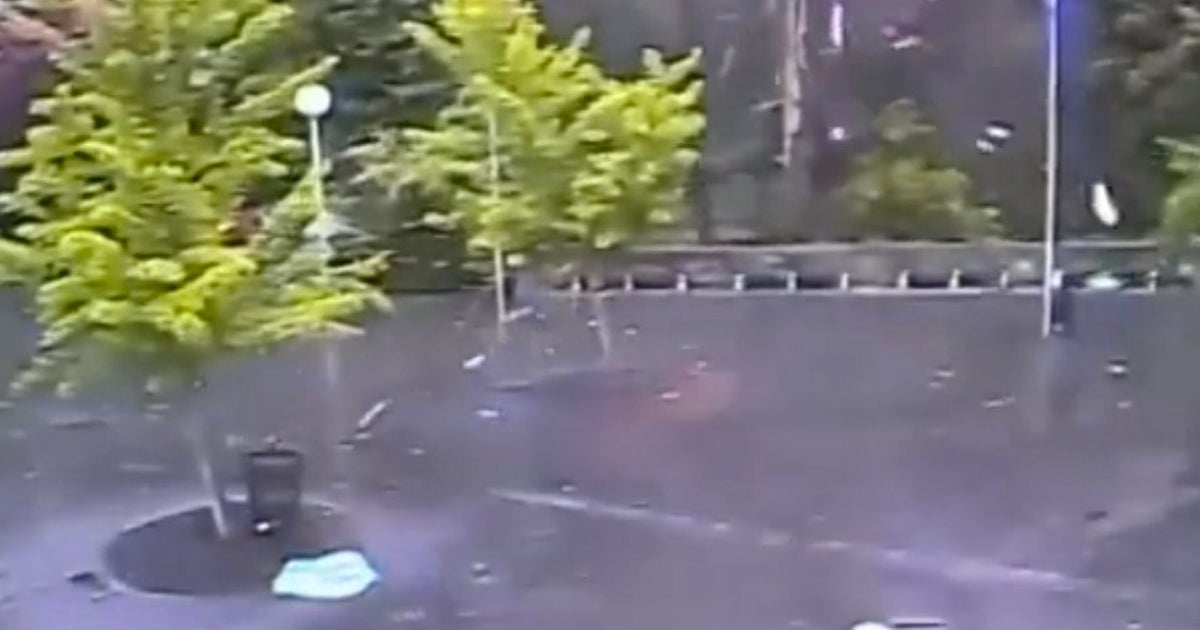 Tree Hit By Lightning Shows Why They're Not The Best Cover In A Storm ...