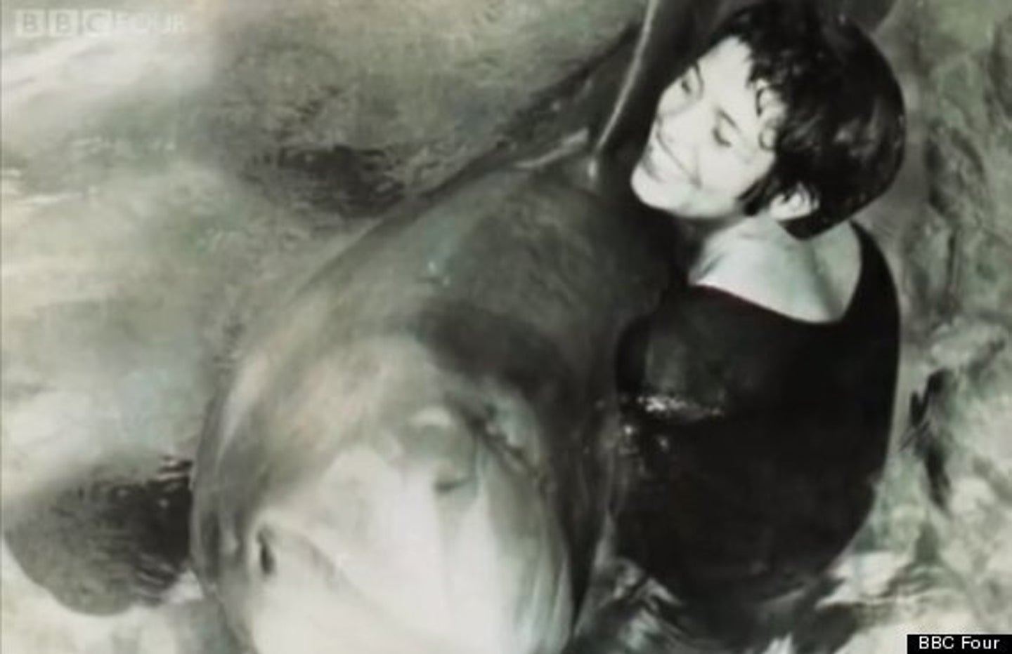The Girl Who Talked To Dolphins (& Masturbated Them Too) (VIDEO ...