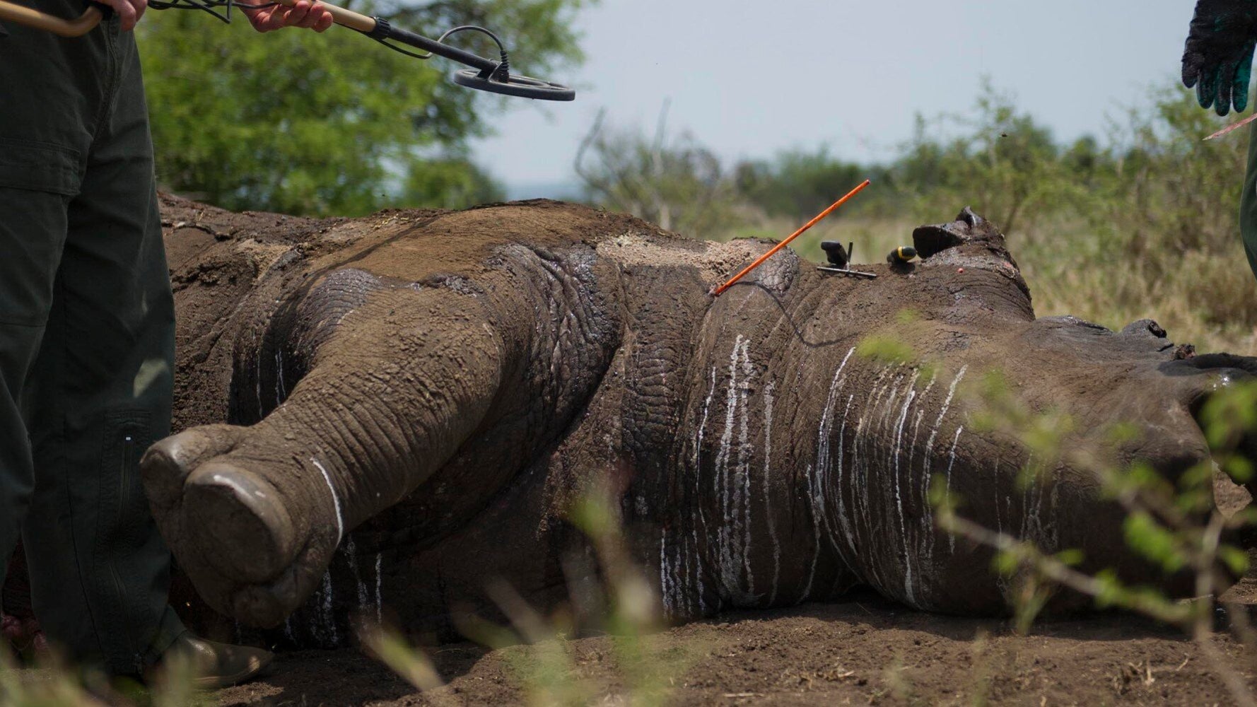 Anti-Poaching Drones By Airware Prove To Successful At Protecting ...