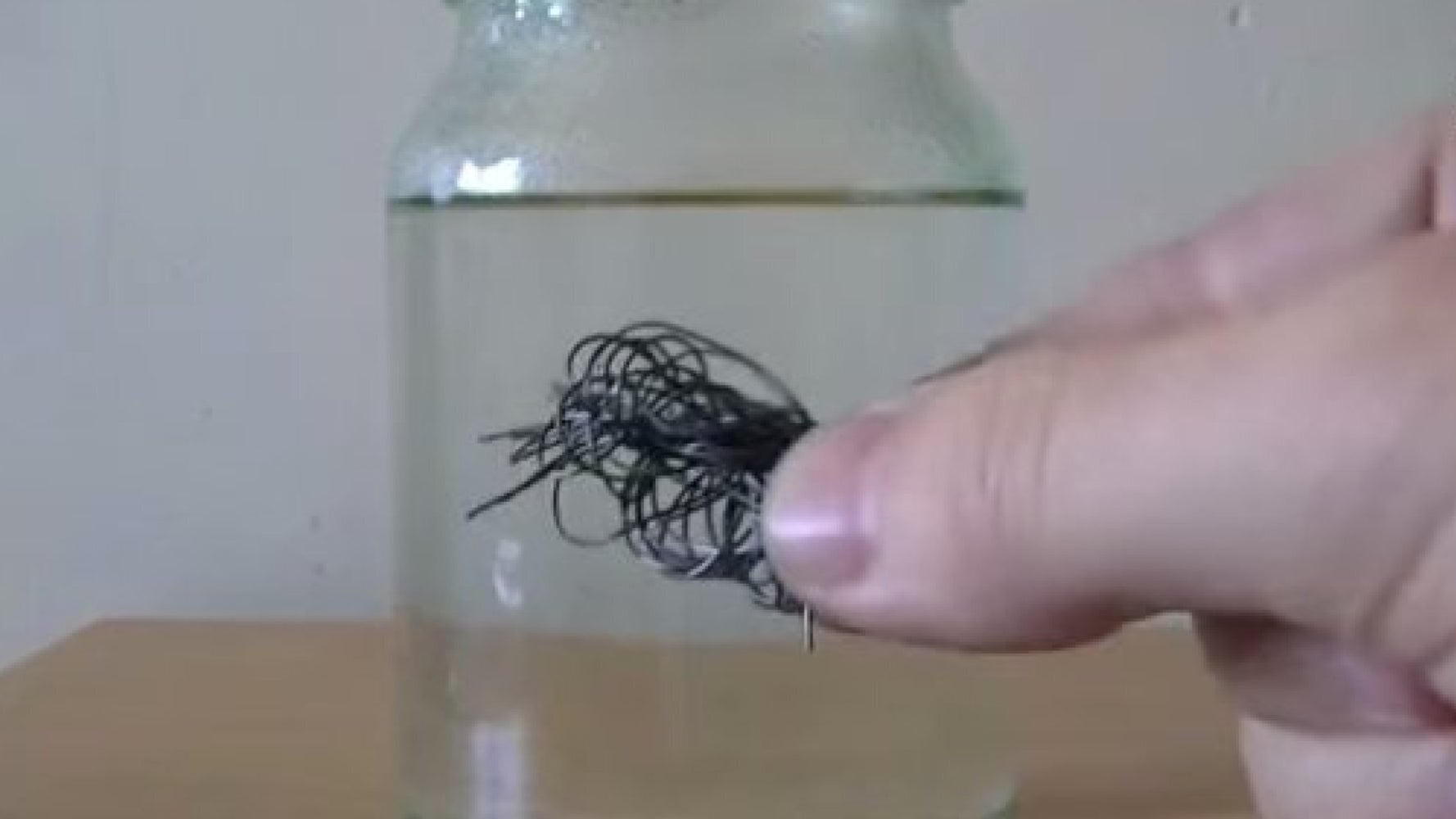This 'Magic' Wire Untangles Itself In Water | HuffPost UK Tech