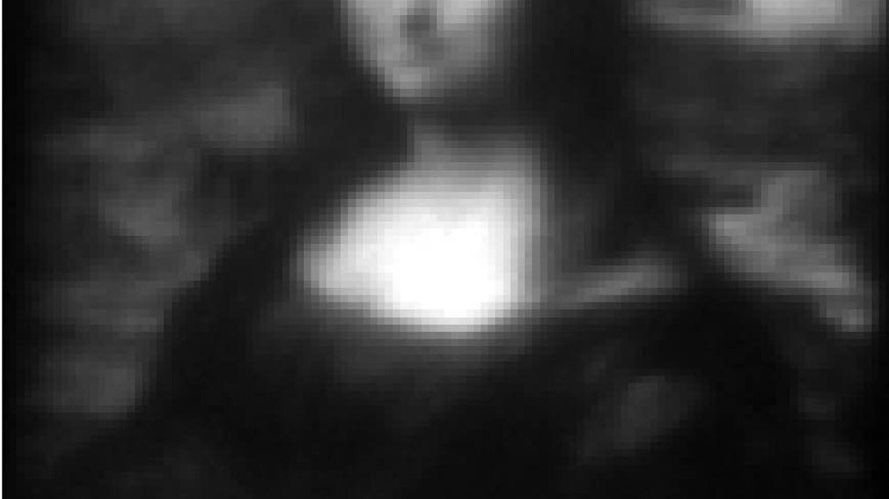 World's Smallest Painting Is A Mona Lisa Half The Width Of Human Hair ...