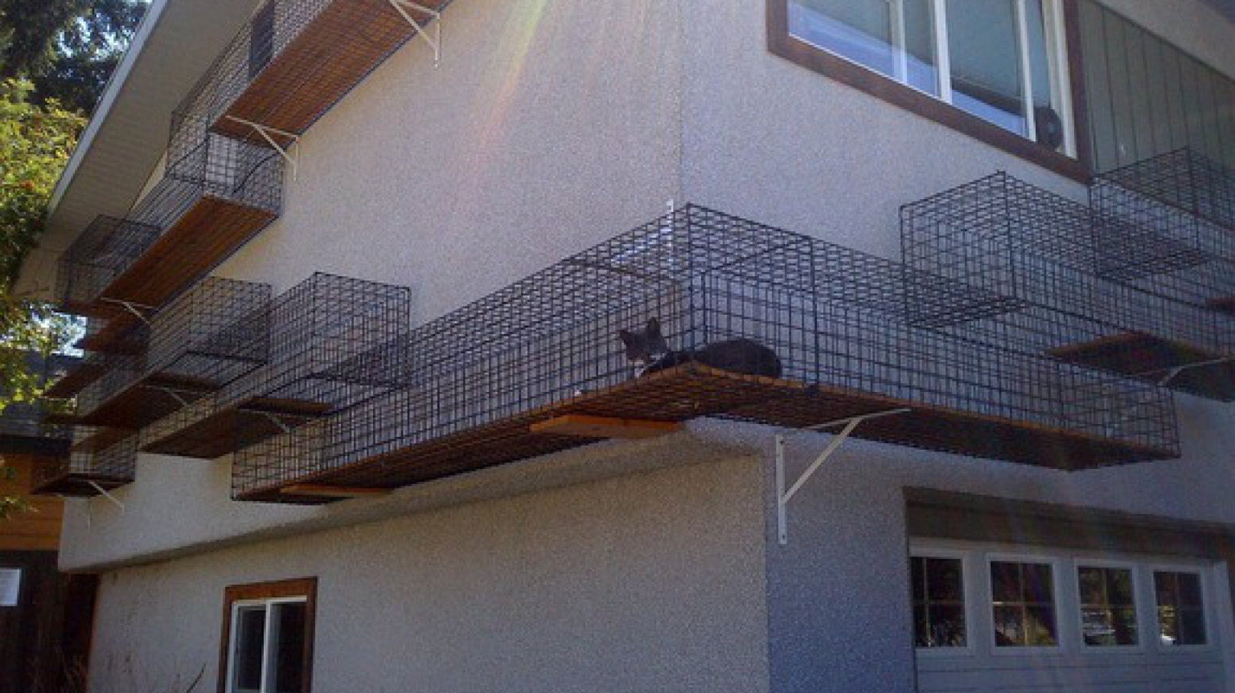 Homemade 'Catwalk' Attaches Caged Walkway For Cats To Side Of House ...