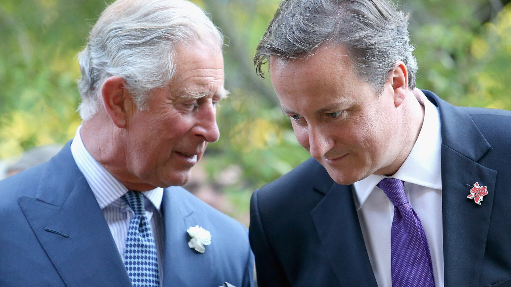 Prince Charles Has Met David Cameron For Seven Private Meetings ...