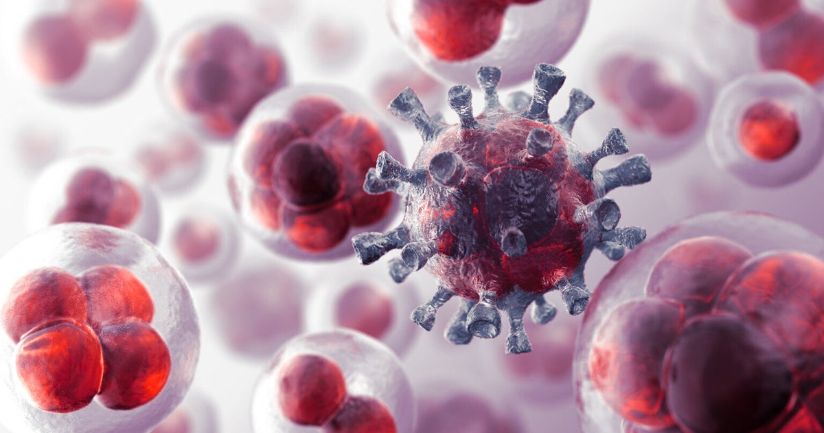 Cancer Genes Could Hold The Key To Understanding The Disease | HuffPost ...
