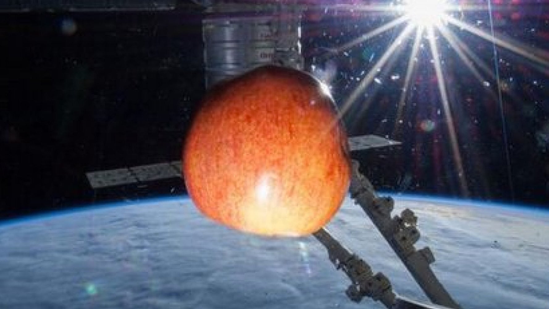 NASA Tweets As Fresh Fruit Arrives On International Space Station ...