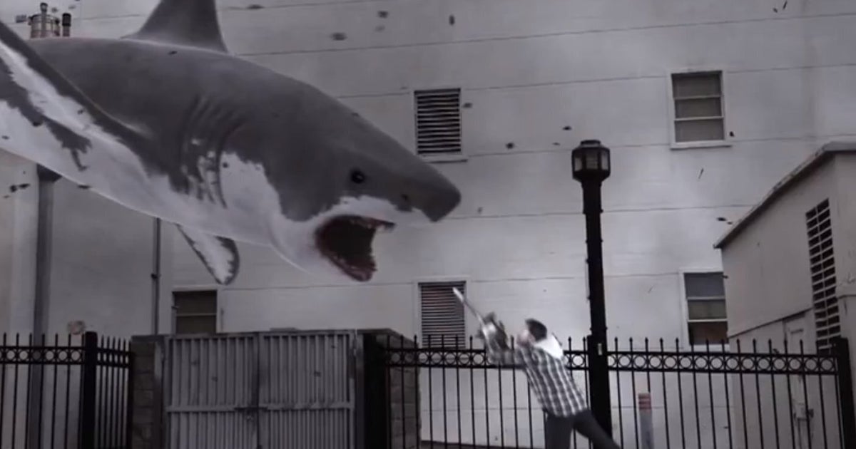 Sharknado On The Streets Of Glasgow? Council Reveals Contingency Plan ...